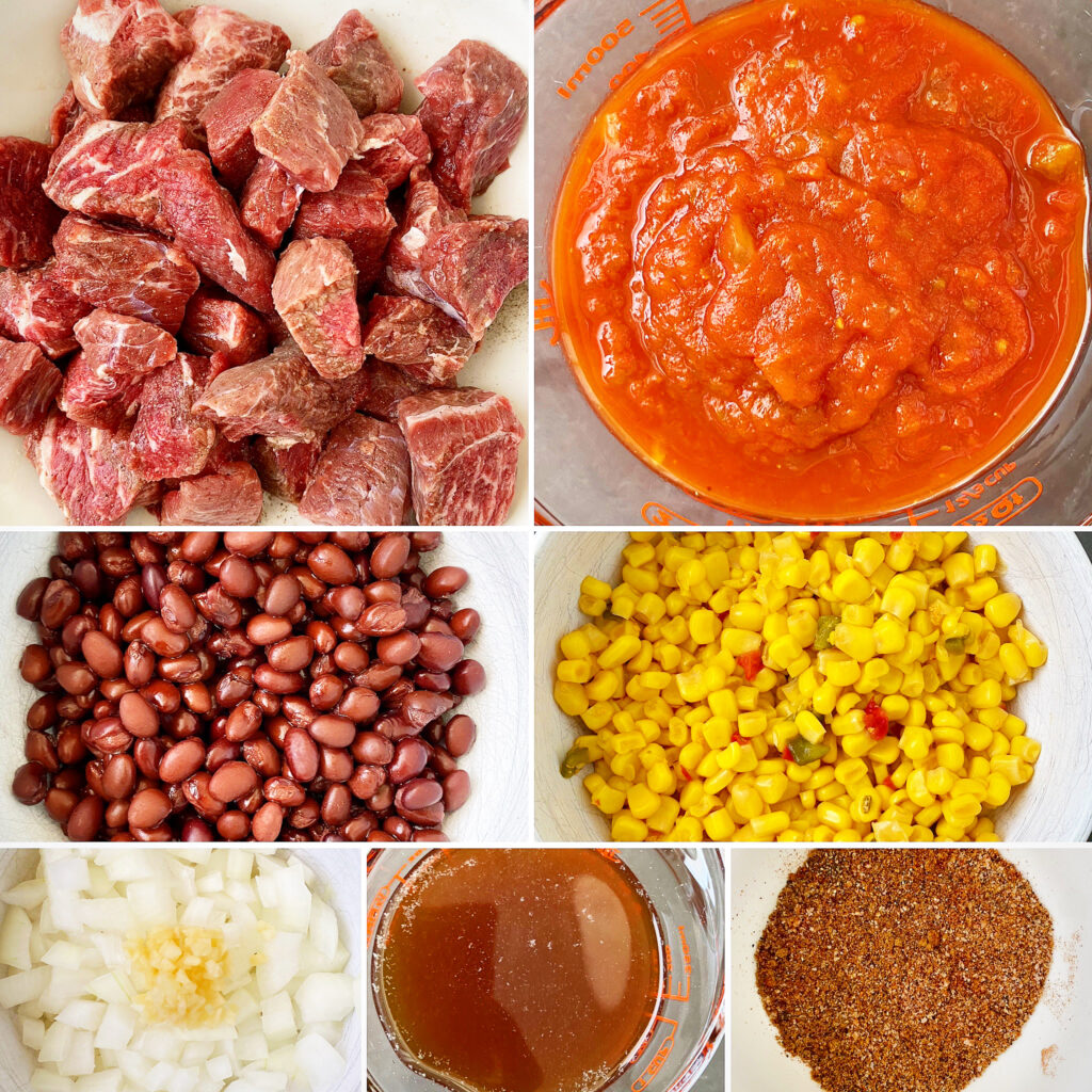 Slow Cooker Salsa Beef Stew - Fit Slow Cooker Queen